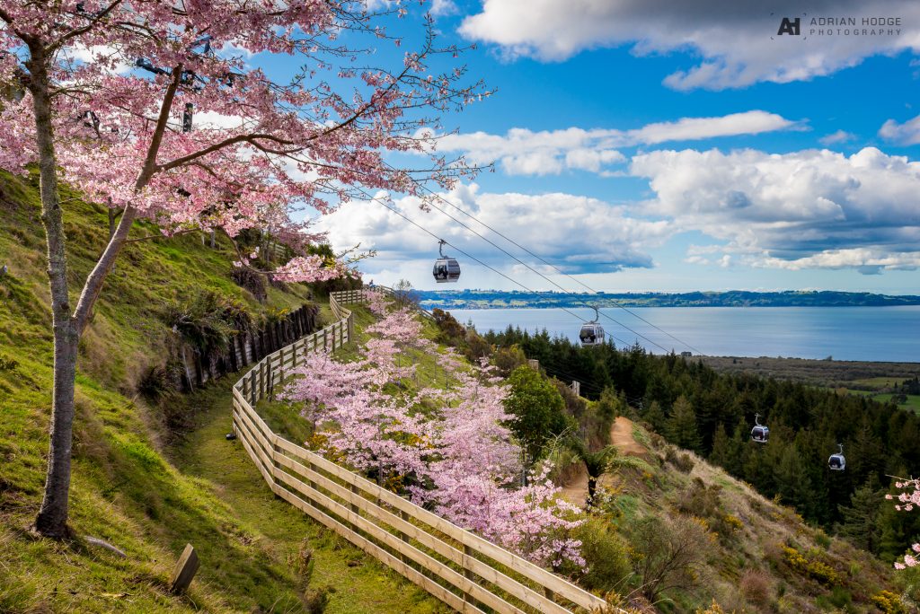 Spring Skyline - Adrian Hodge Photography