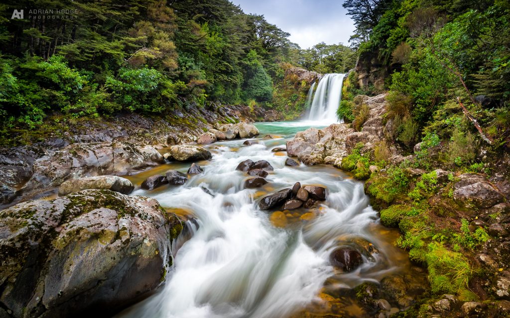 Gollum's Pool aka Tawhai Falls - Adrian Hodge Photography